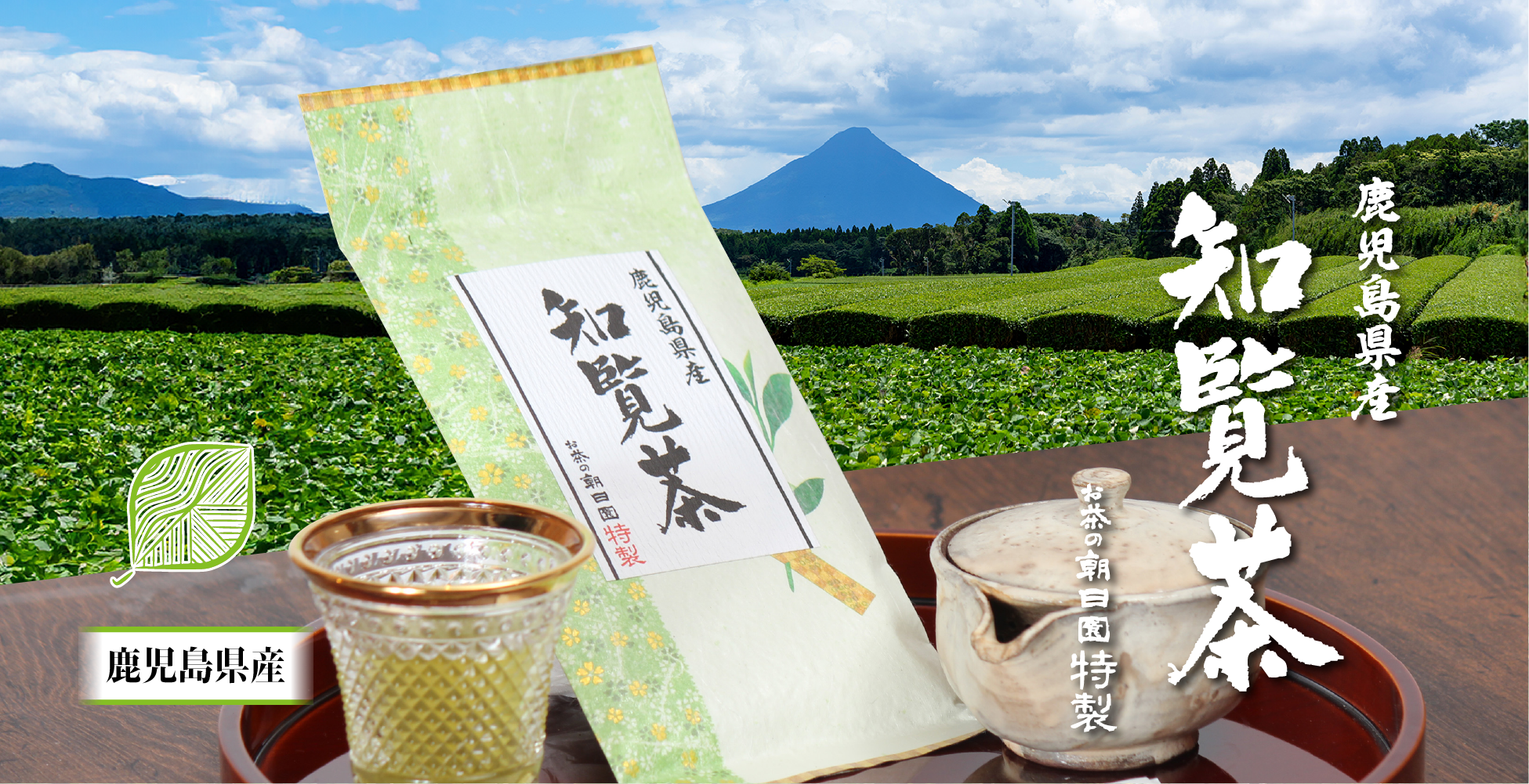 お茶の朝日園