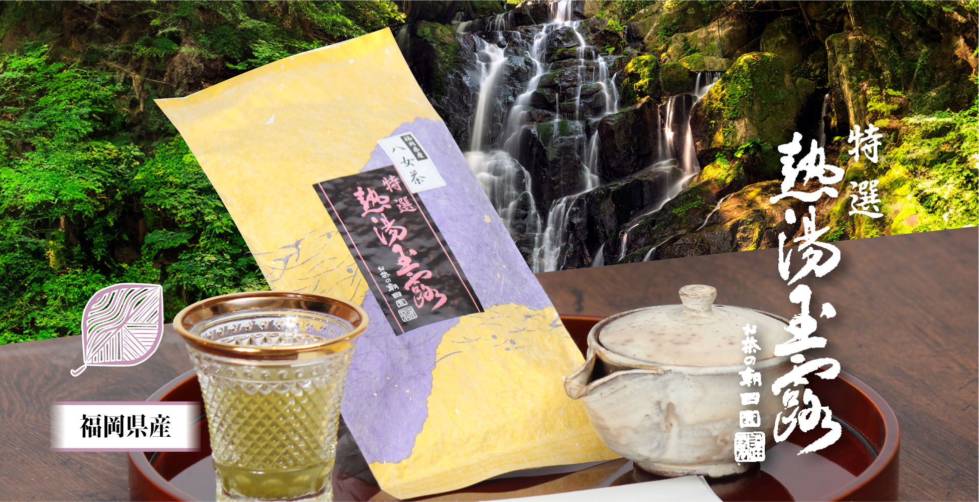 お茶の朝日園